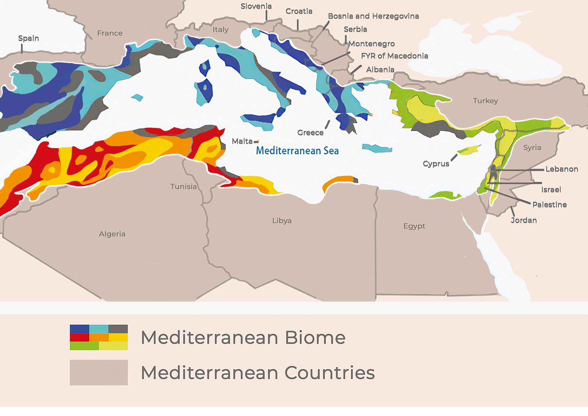 A journey through SWANA’s tapestry of forests: a vital ecosystem under ...